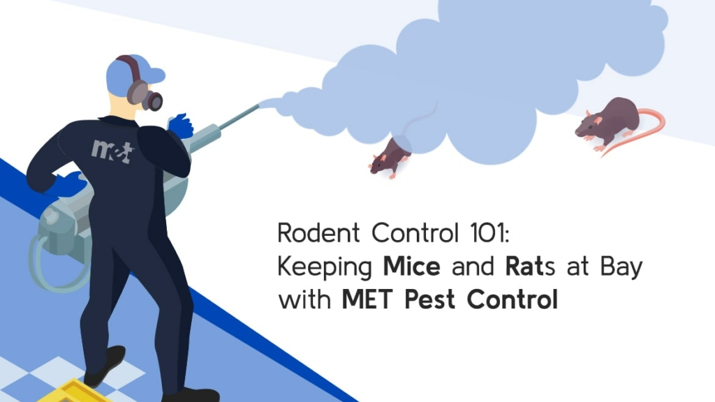 Rodent Control 101: Expert Tips from MET Pest Control