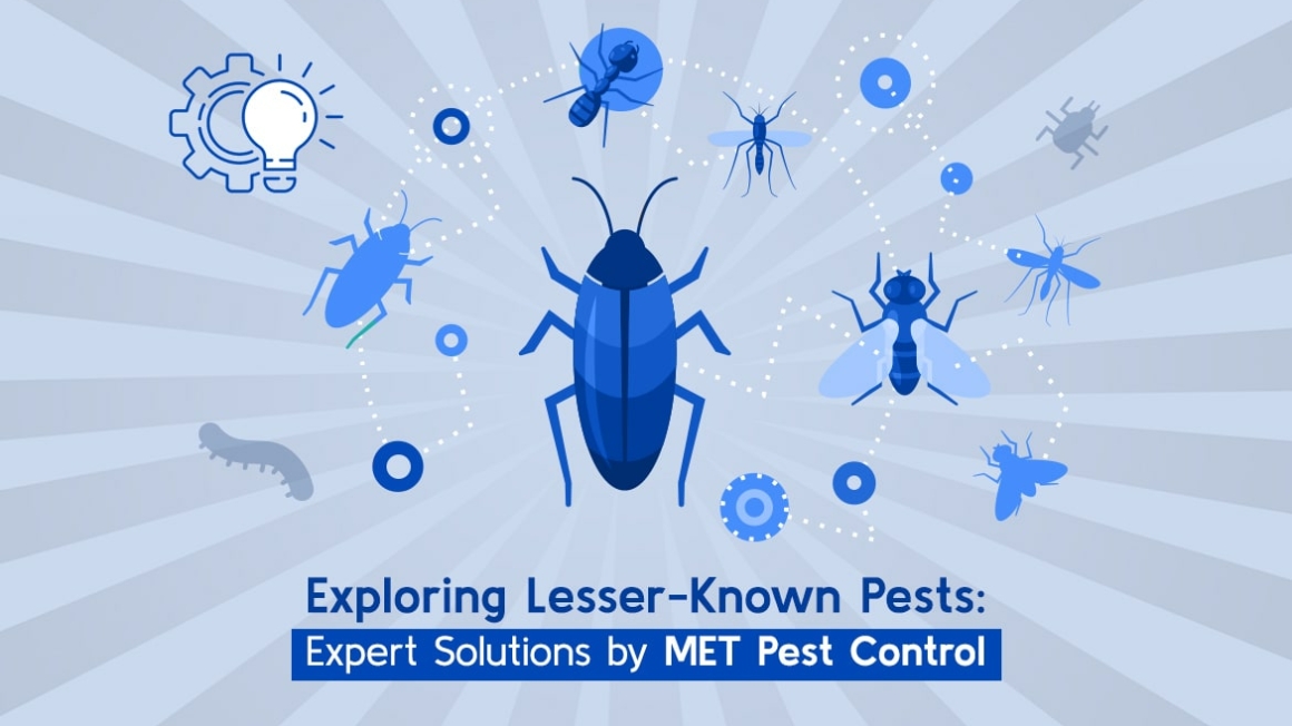 Solutions for Lesser-Known Pests | MET Pest Control